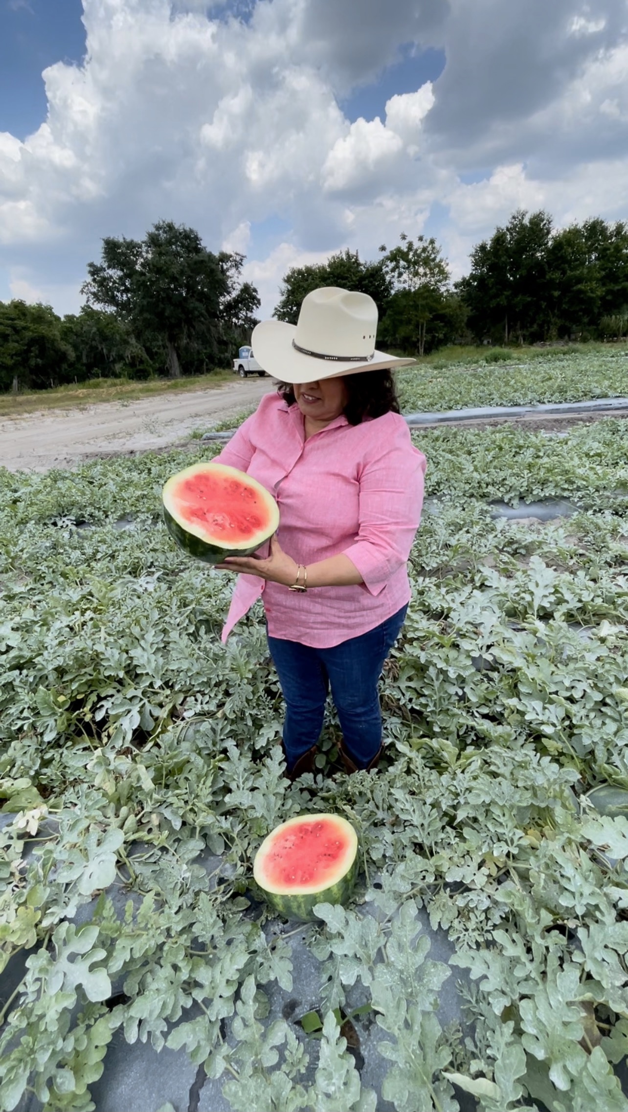 Home - Always Fresh Farms