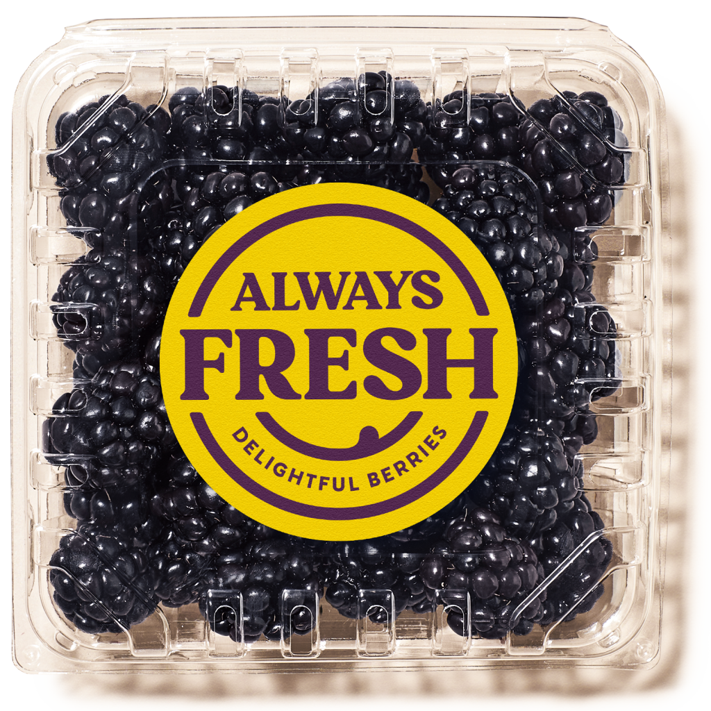 Berries - Always Fresh Farms