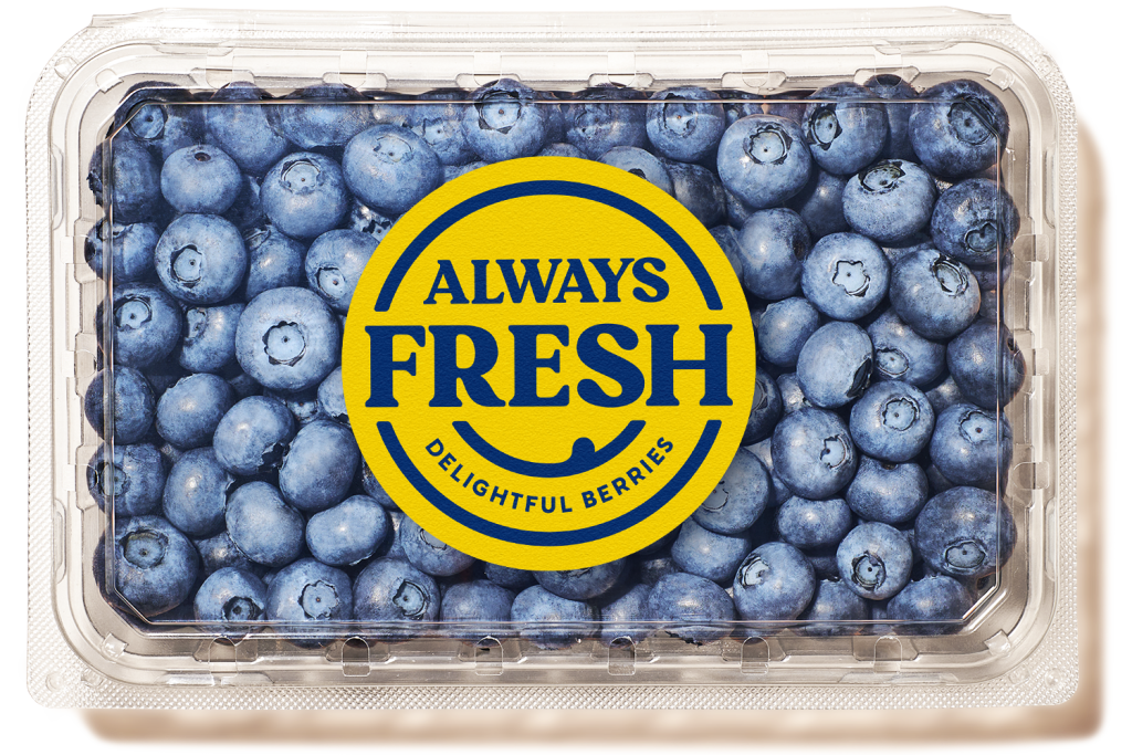 Blueberries - Always Fresh Farms