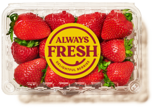 Berries - Always Fresh Farms