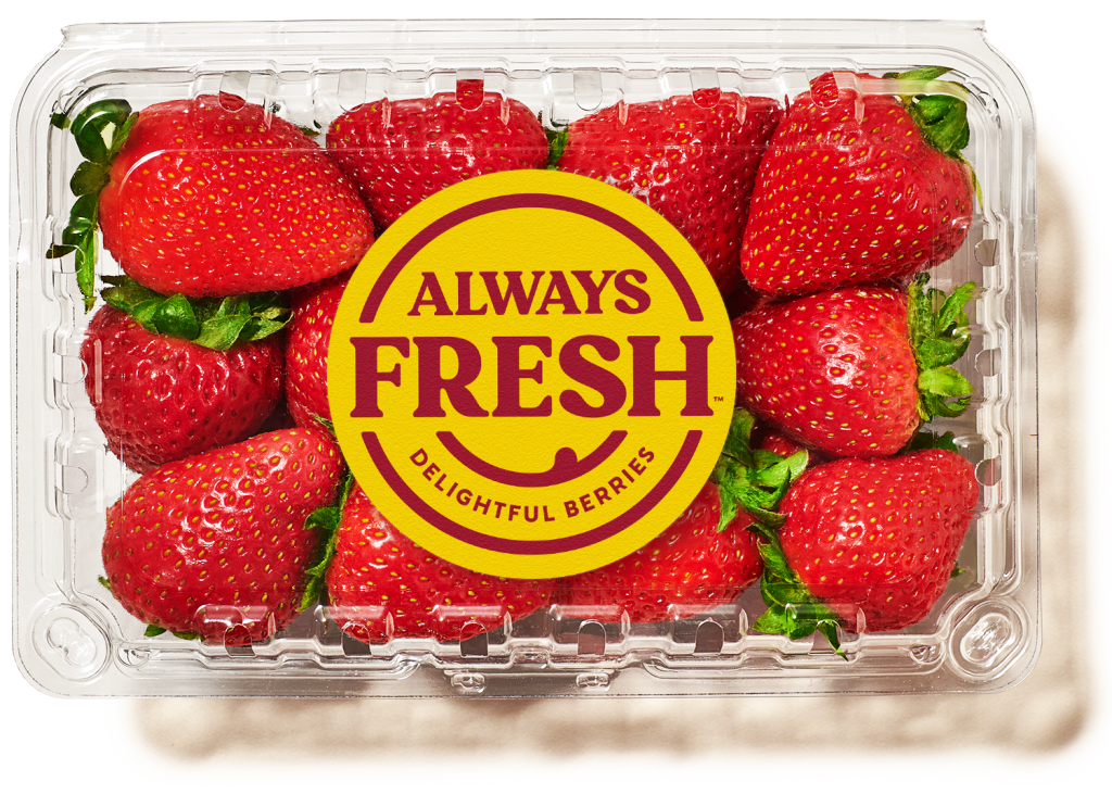 Strawberries - Always Fresh Farms