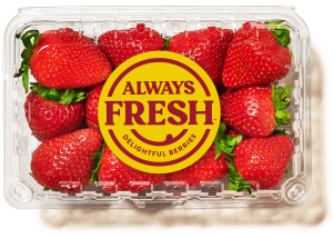 Blueberries - Always Fresh Farms