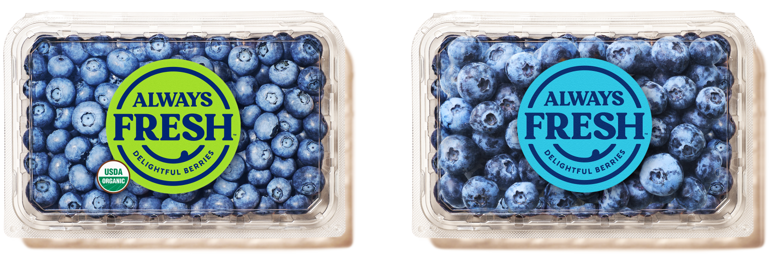 Blueberries - Always Fresh Farms