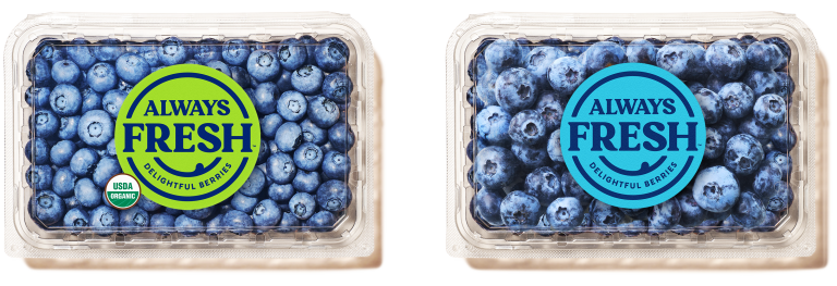 Blueberries - Always Fresh Farms