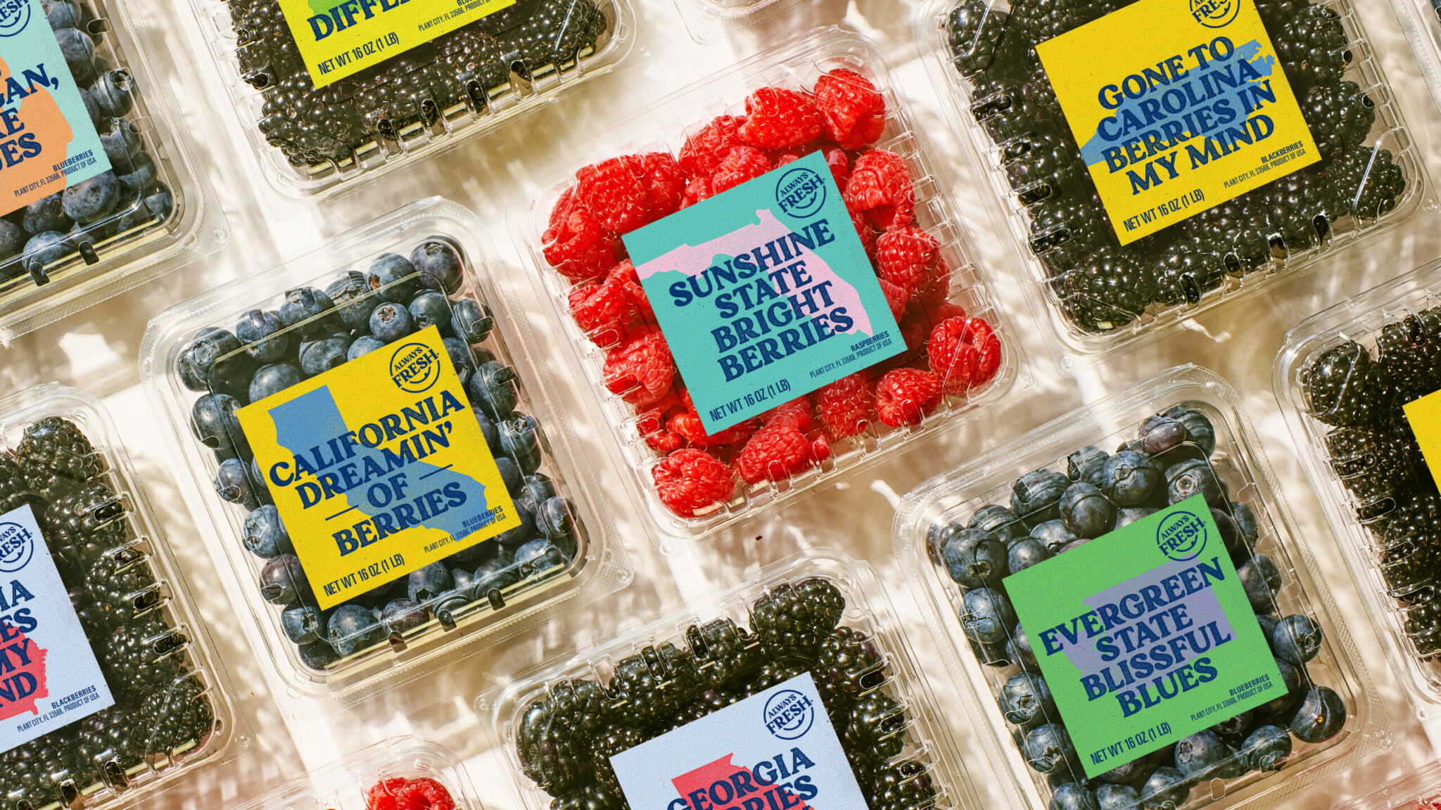 Home - Always Fresh Farms