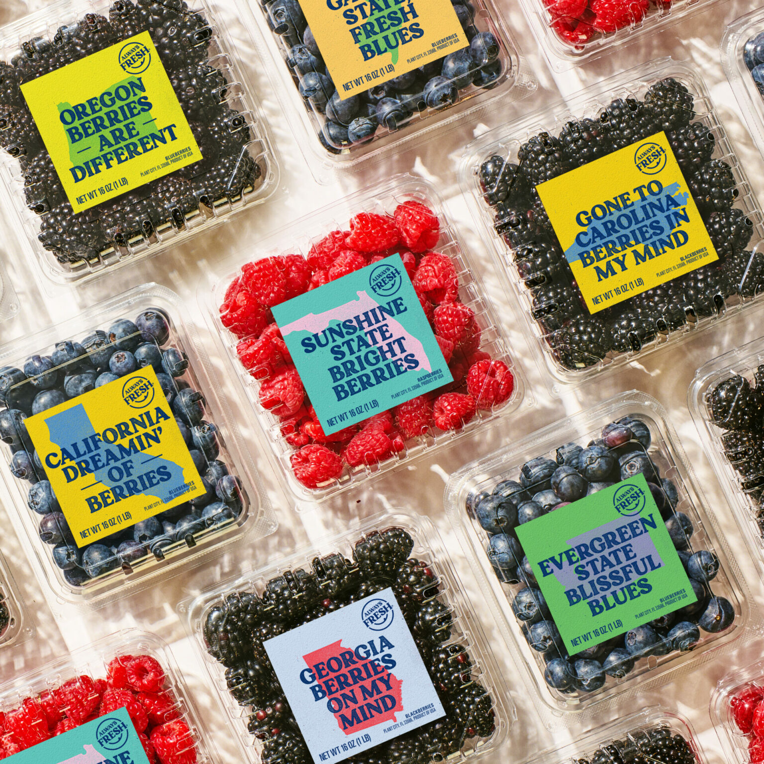 Berries - Always Fresh Farms